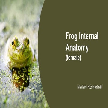 Frog Dissection Guide for General Biology | PPTX