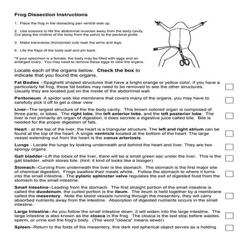Frog dissection handout | DOCX
