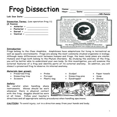 Detailed study of frog (rana tigrina) | PPTX