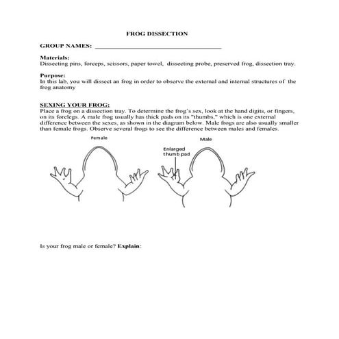 Frog Dissection Worksheets For Middle School Teaching Dissection With