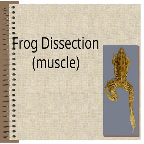 Frog dissecting | PPT
