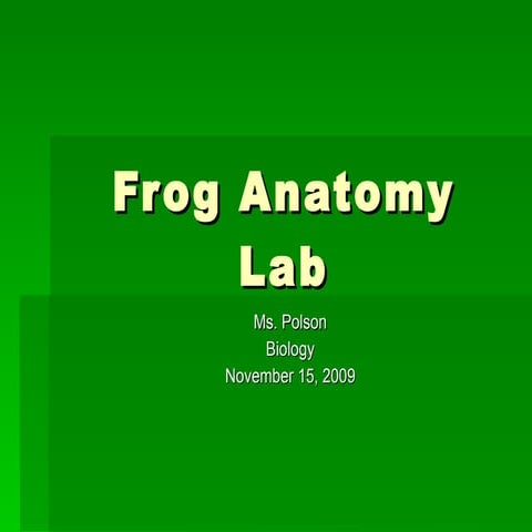 Dissection of frog | PPTX
