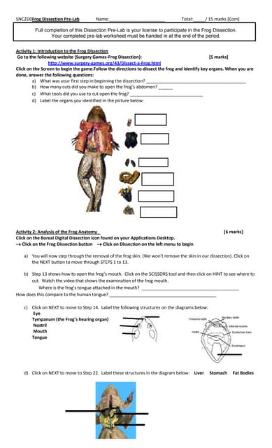 Zoology(External Features of the Frog & Buccal Cavity) | PPTX