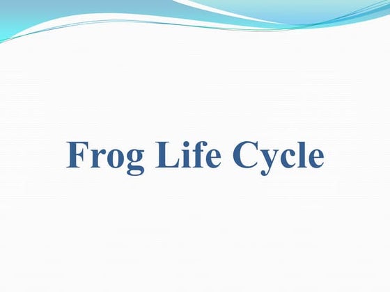The Life cycle of frog | PPT