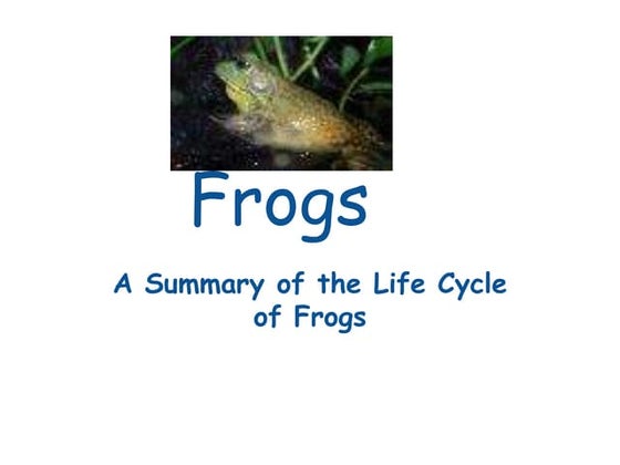 The Life cycle of frog | PPT