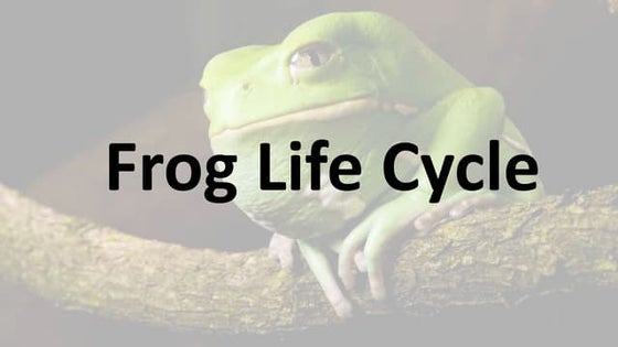 Frogs life cycle | PPTX | Biological Sciences | Science
