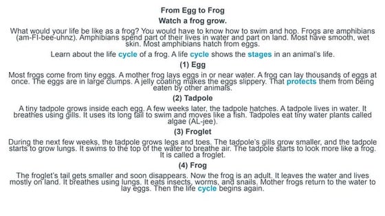The Life cycle of frog | PPT