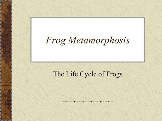 The Life cycle of frog | PPT