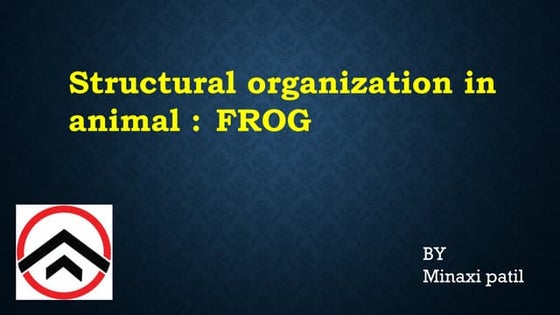 Structural Organization in Animals. Class 11 Biologypptx | PPT
