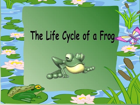 The Life cycle of frog | PPT