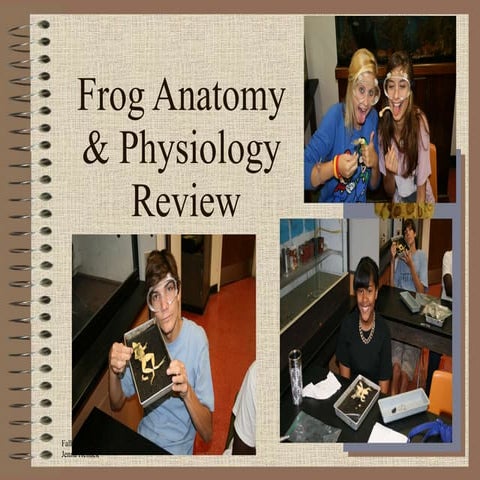 Frogdiss | PDF