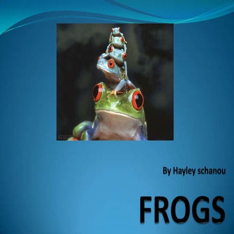 Frogs | PPTX