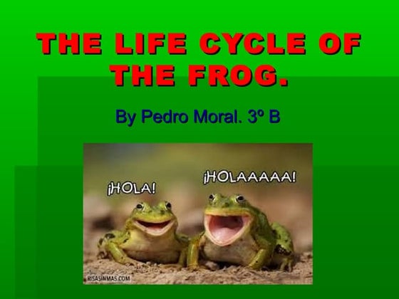 The Life cycle of frog | PPT