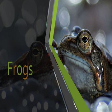 Frogs | PPT