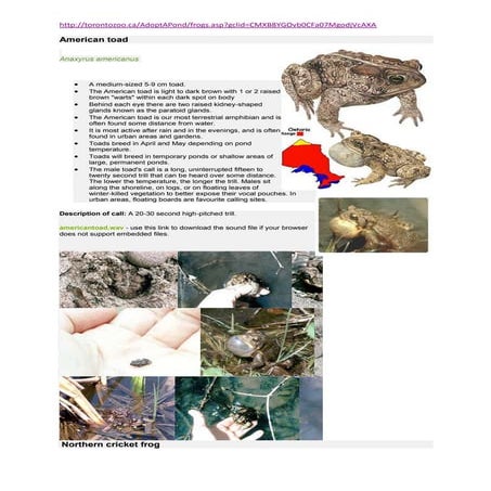 Frogs from toronto zoo site 13 varities | PDF