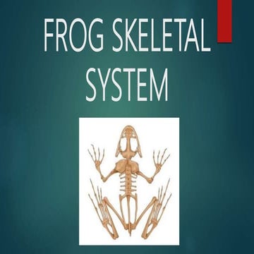 Frog skeletal system, bones, girdles | PPTX