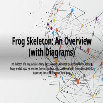 FROG MUSCULAR SYSTEM - Muscles in our Body | PPTX