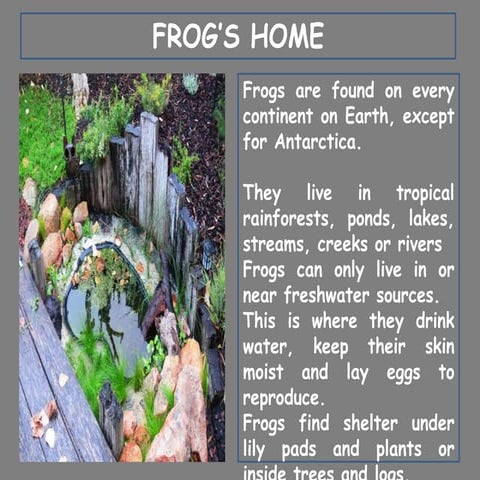 Frog's house | PPTX