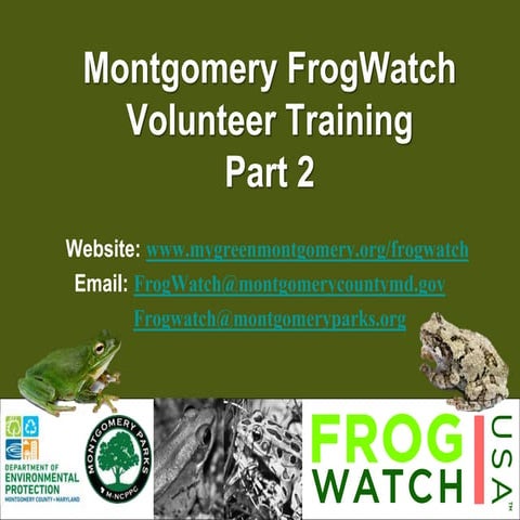Frog watch 102 training | PPTX