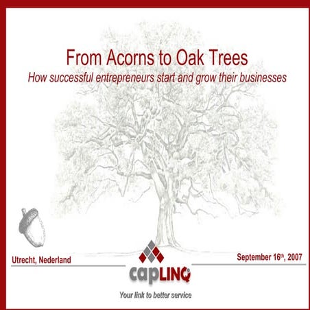 From Acorns To Oak Trees | PPT