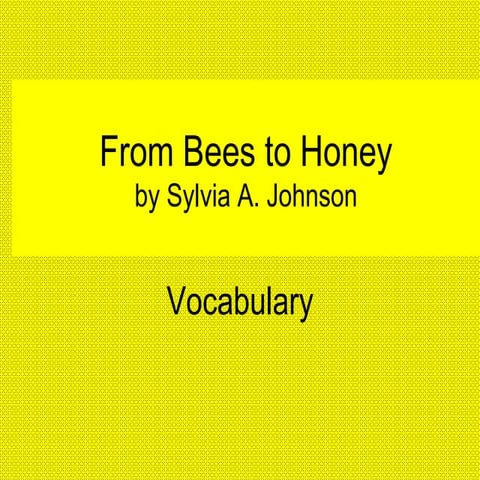From Bees to Honey Vocabulary | PPT