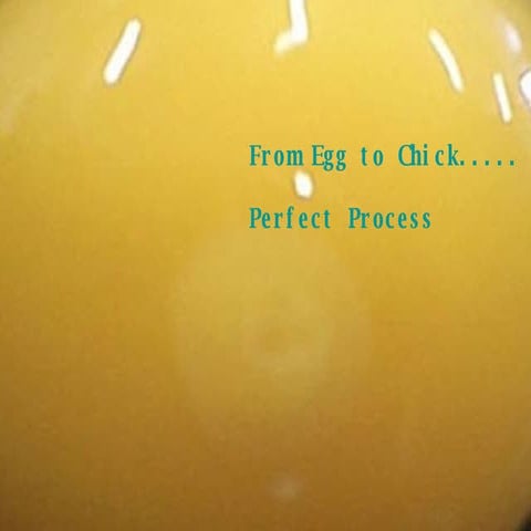 from egg to chick complete process | PPS