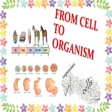 FROM CELL TO ORGANISM.pptx