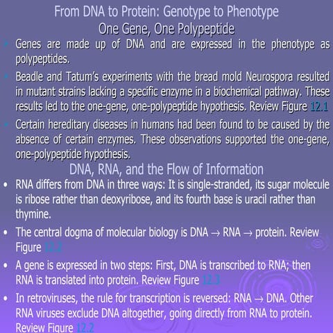 From dna to protein genotype to phenotype | PPT