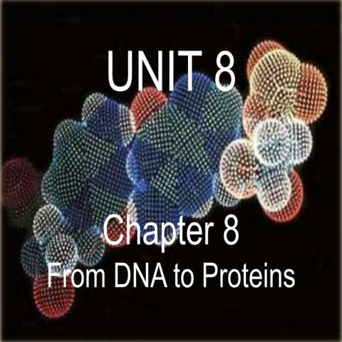 DNA TO PROTEIN | PPT