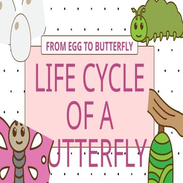 Butterfly life cycle Metamorphosis powerpoint | PPTX