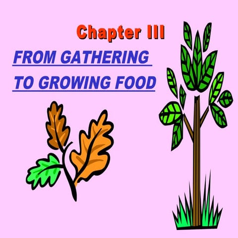 From Gathering to Growing Food | PPT