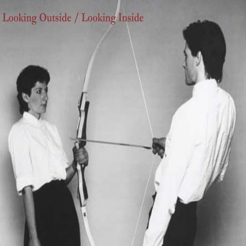 Looking Inside / Looking Outside | PPTX