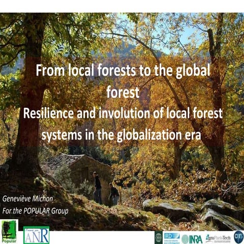 From local forests to the global forest: Resilience and involution of ...