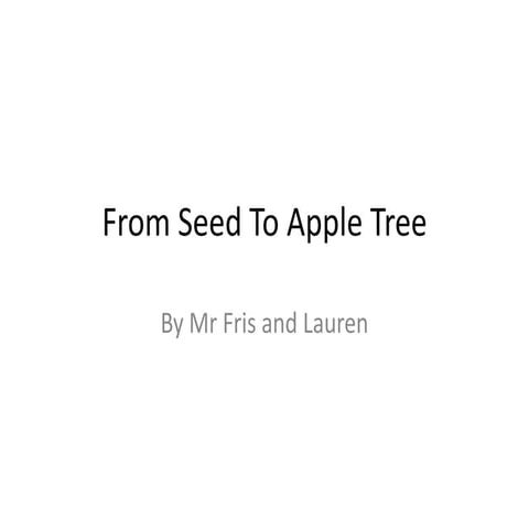 From seed to apple tree | PPTX