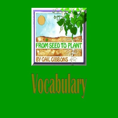 From Seed To Plant | PPT