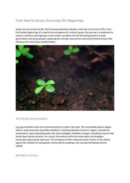 The Process Of Seed Germination Chart Seed Dispersal Models For