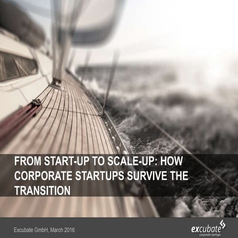 From Start-Up to Scale-Up | PPTX