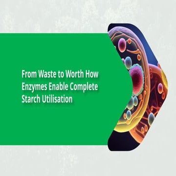 Turning starch waste into value through enzyme systems | PPTX