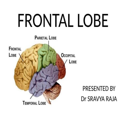 Frontal Lobar Function tests.pptx
