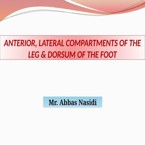 dorsum of foot anatomy presentation.pptx