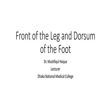 Front of the thigh | PPTX