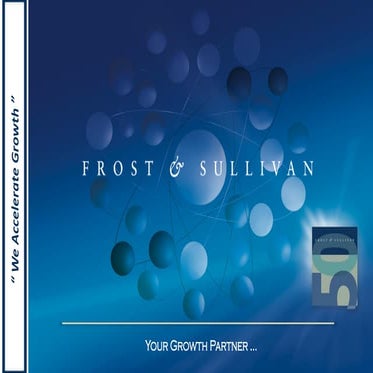 Frost & Sullivan - Metals & Minerals Consulting Capability Presentation ...