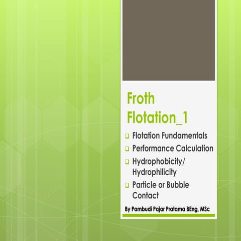 Froth Flotation_1 | PPTX
