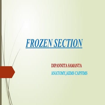 Frozen Section Basics | PPT