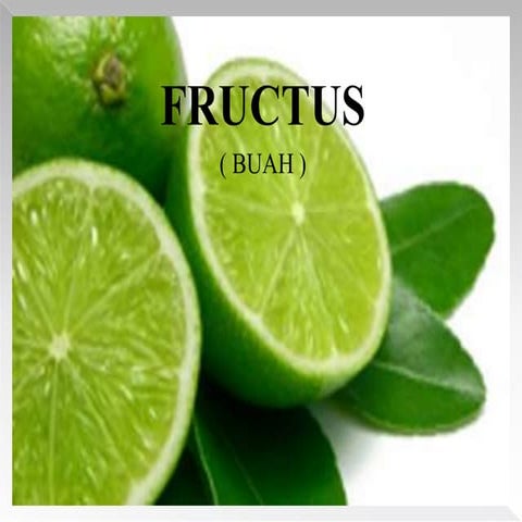 Fructus pptx | PPTX