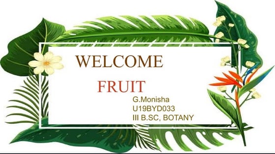 5. Classification of Fruits according to types.pptx