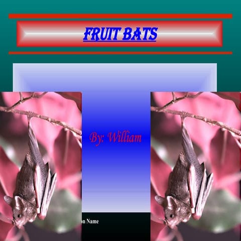 Fruit Bats by William | ODP