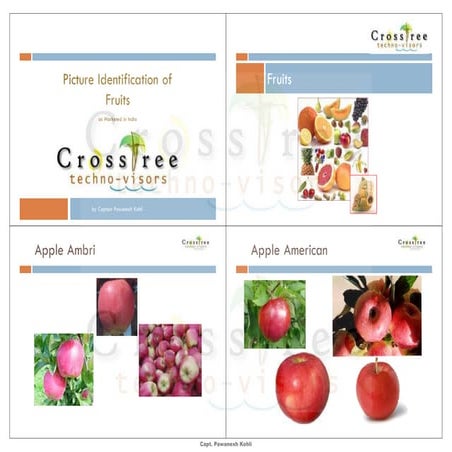 Fruit ID small sheets | PPT
