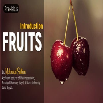 Pharmacognosy 1 (Fruits): Introduction | PDF