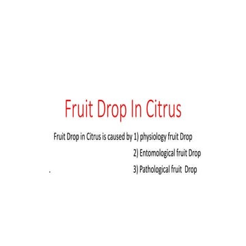 Fruit Drop in Citrus.pptx know more about fruit drop pptxxxxxxxxxxxxxx ...